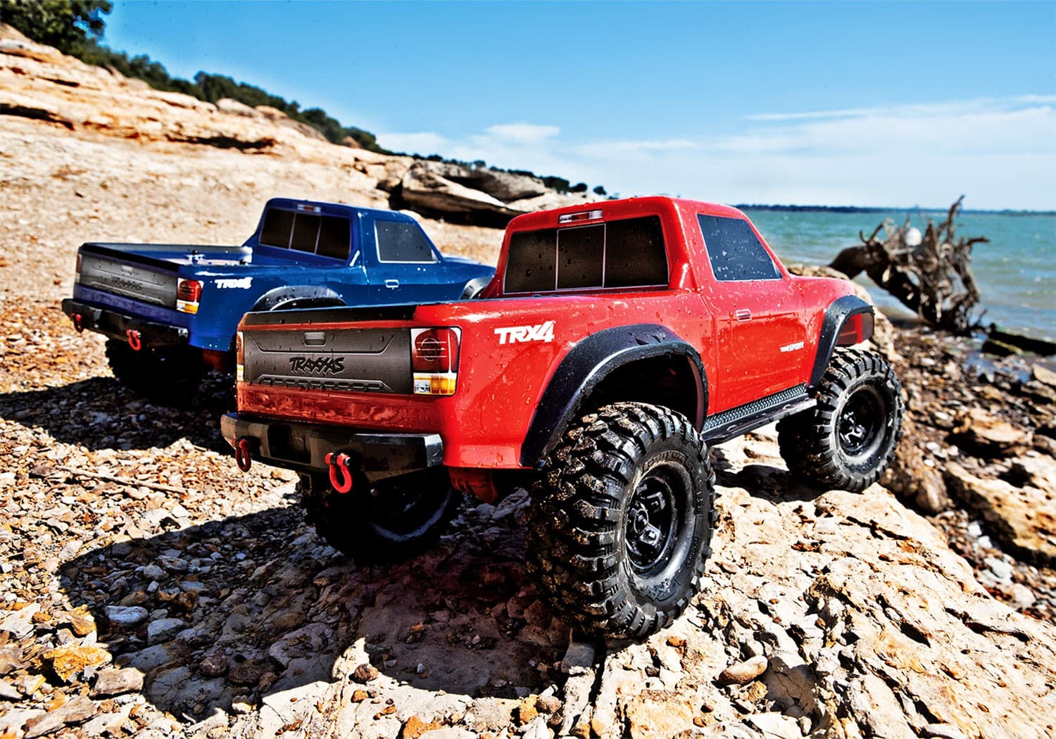 Buy TRA82024-4RED - Traxxas TRX-4 Sport RTR 1/10 Scale Trail Rock ...